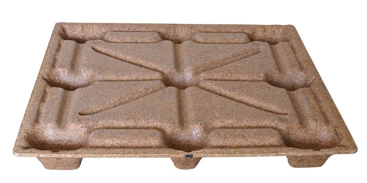 Crean pallets de coco biodegradables y buscan salvar millones de árboles