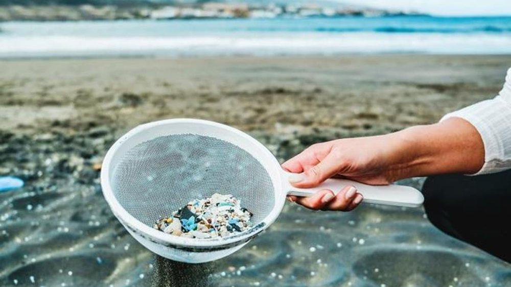 Encuentran gran cantidad de microplásticos en distintas áreas del Mar ...