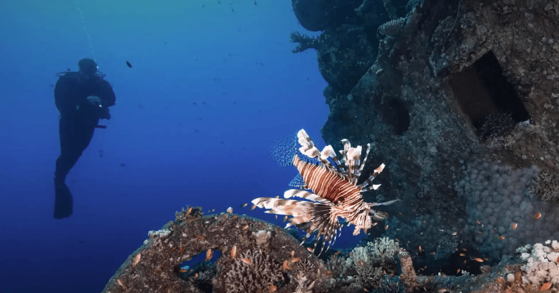 Shushah Island, la nueva isla llena de lujos y naturaleza en Arabia Saudita