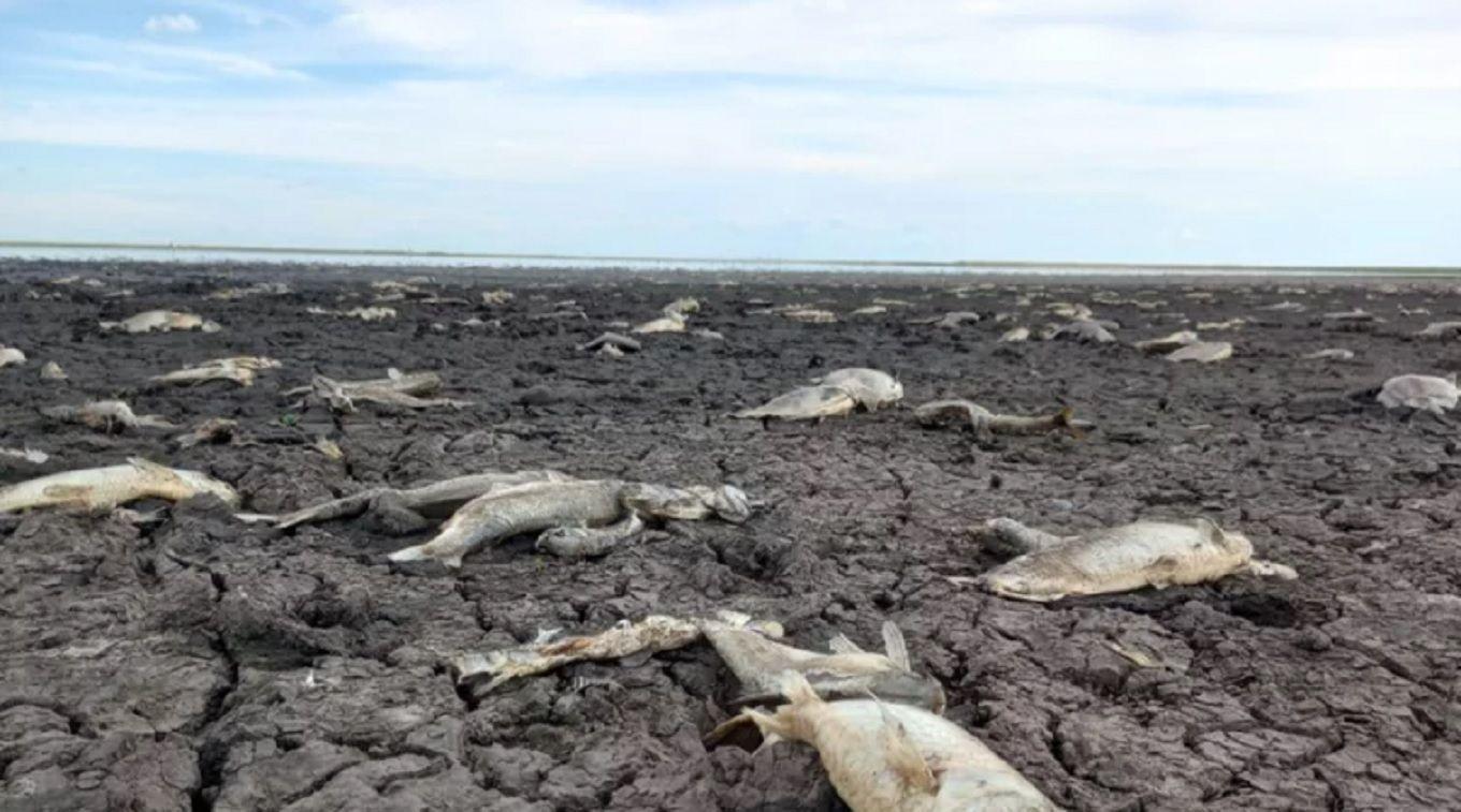 Sequía en Corrientes: ya se secaron más del 80% de las lagunas