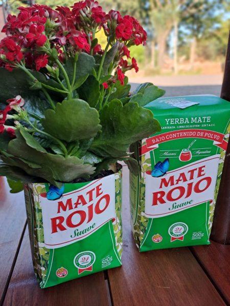 La apuesta de estas empresas argentinas para crear envases más sustentables