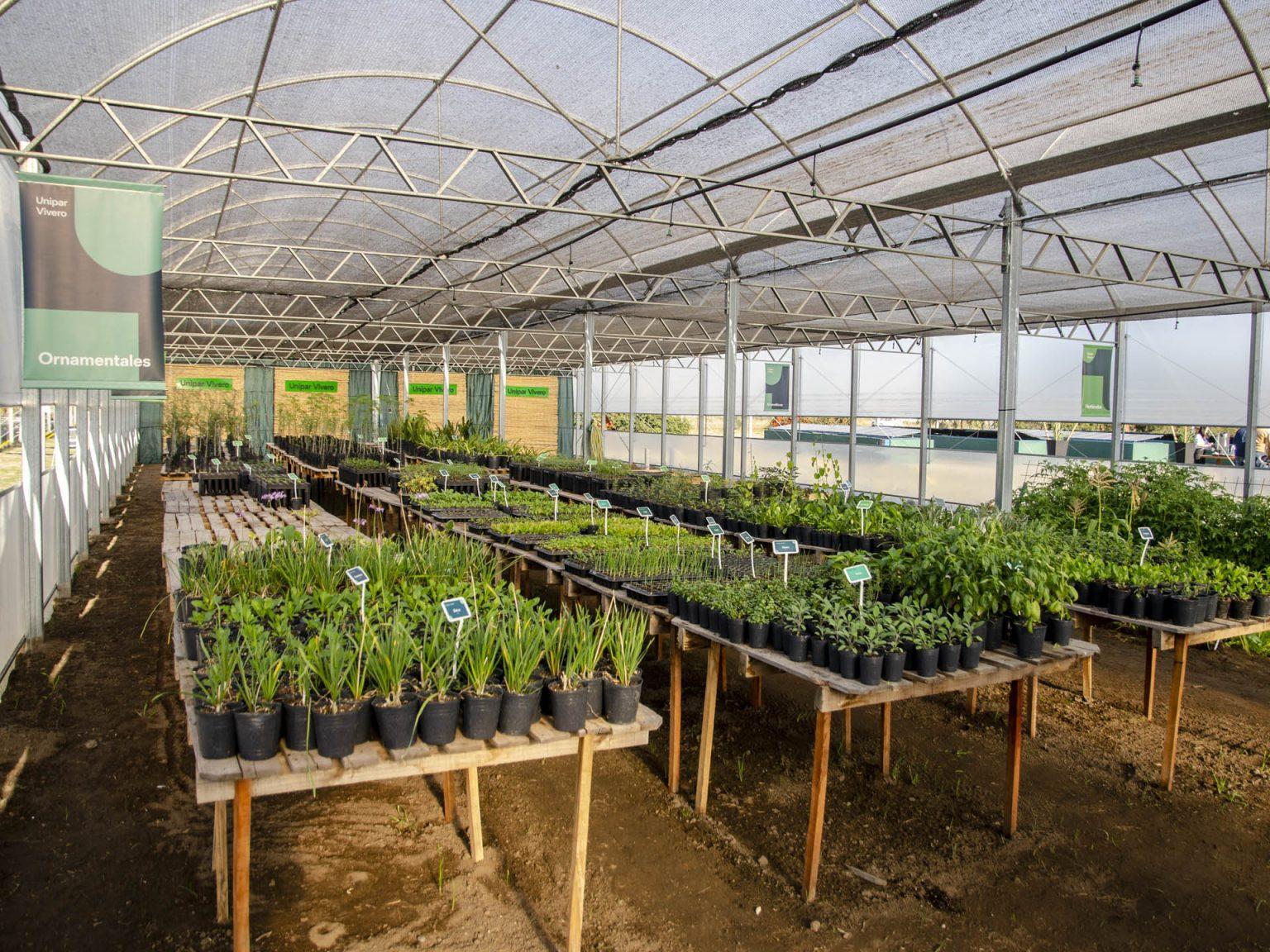 Invierten u$s 150.000 para crear un vivero para contribuir con ...