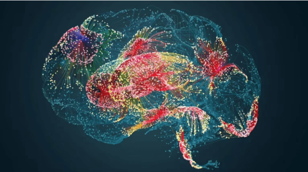 Encuentra plástico hasta en el cerebro horas después de la ingestión