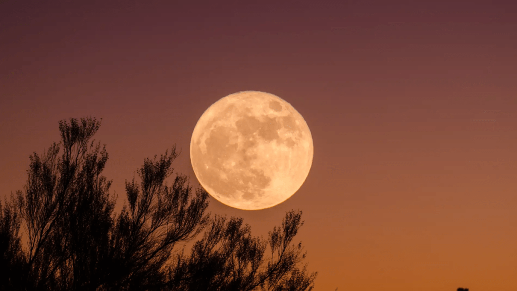 Truco: así podés sacar fotos a la Luna con tu celular, según la NASA
