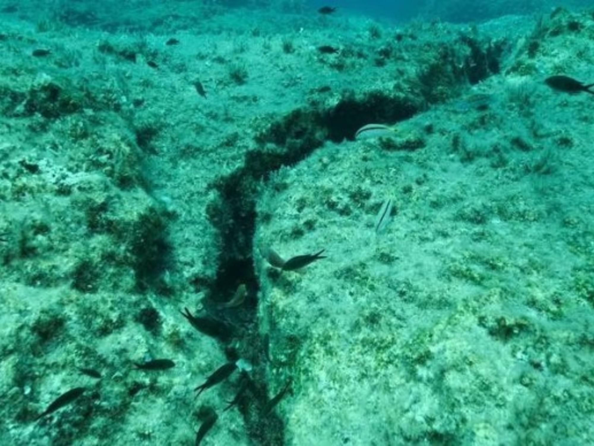Una falla en el Océano Pacífico está partiendo a la Tierra en dos desde ...