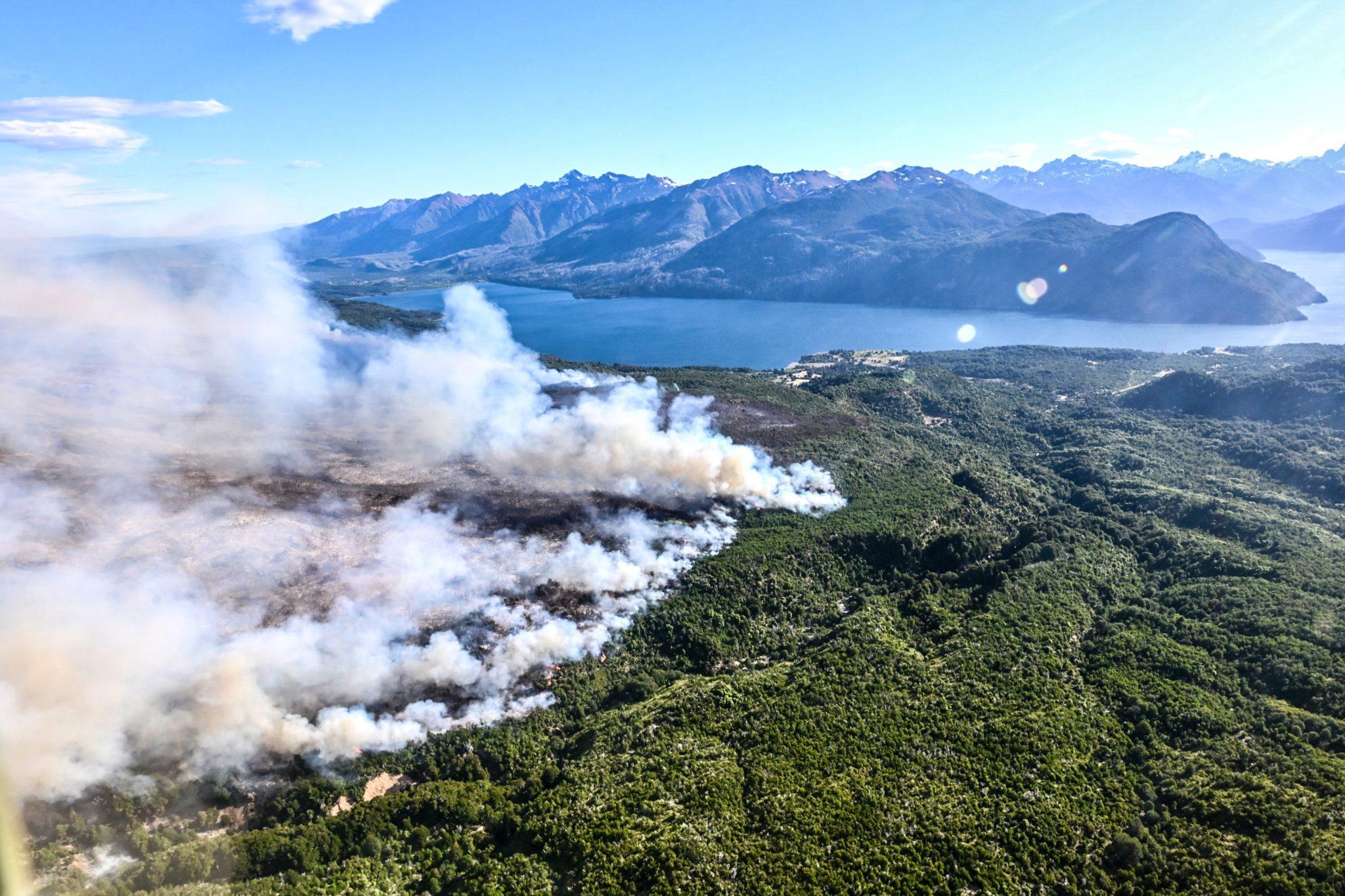 Incendios en Patagonia: se cuadruplicó la superficie de bosques ...