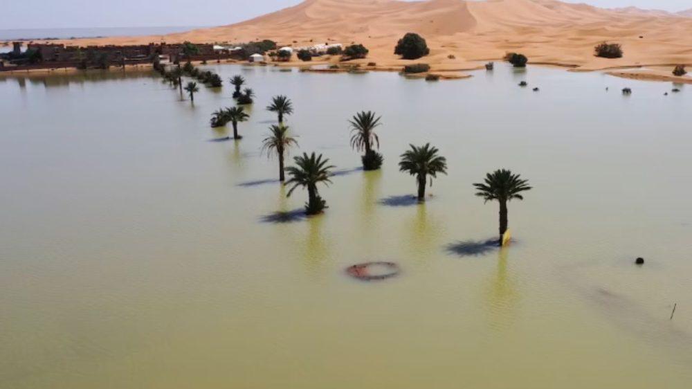 El desierto de Sahara cambió de color y tiene una explicación