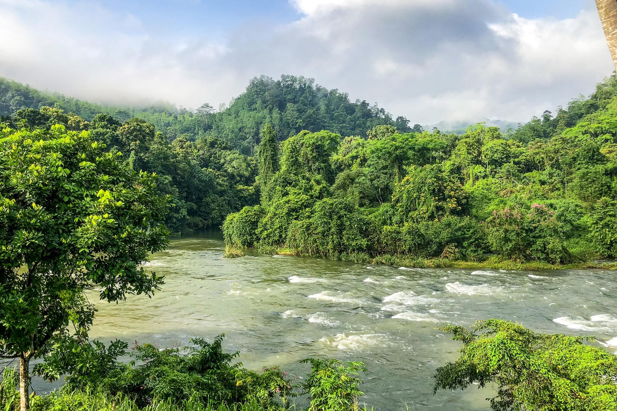 Lanzan una plataforma clave para la conservación de la biodiversidad en ...