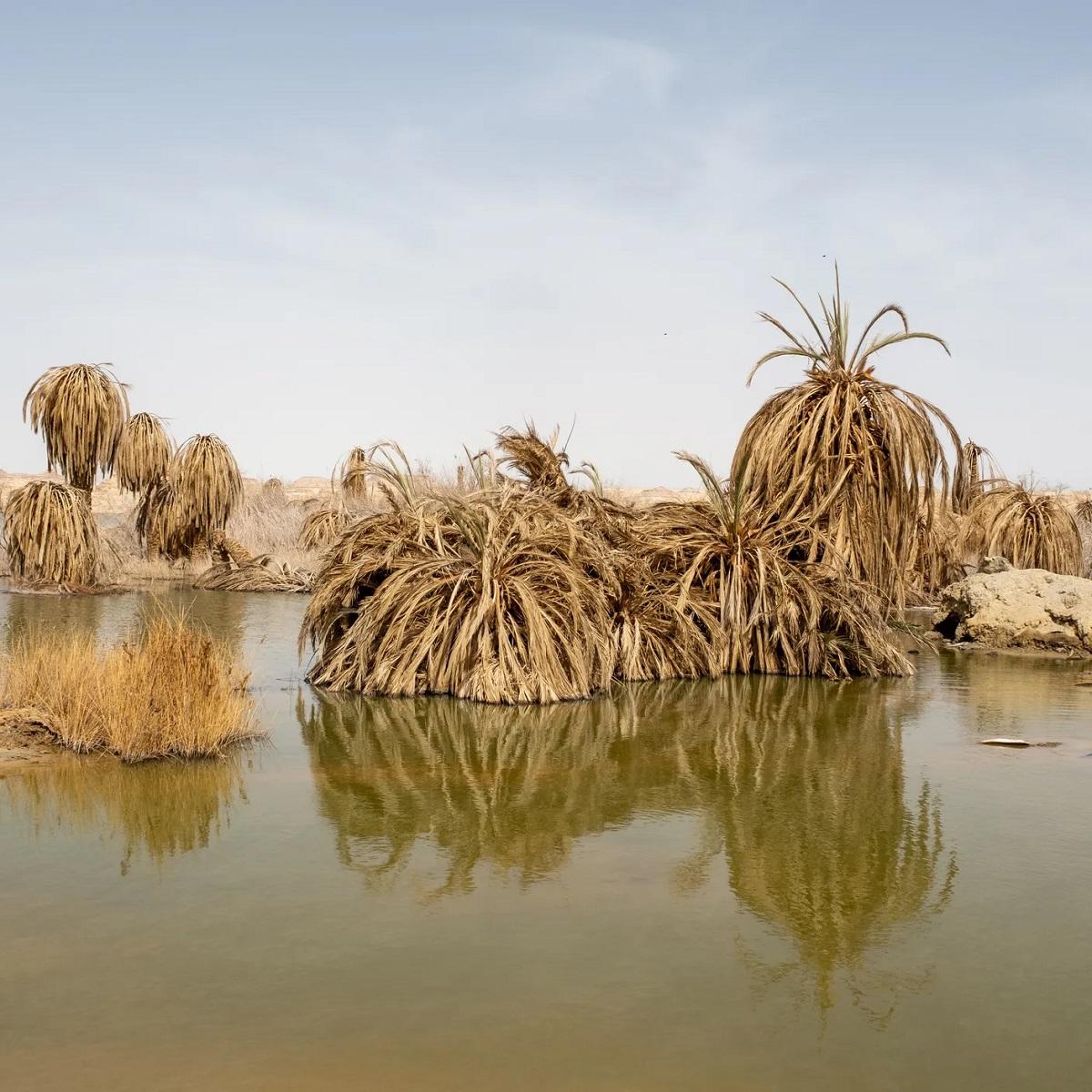 Estas son las mejores fotos del 2024, según National Geographic