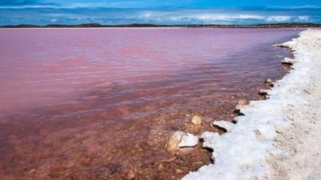 El lago rosa más espectacular del mundo: por qué el agua tiene ese color