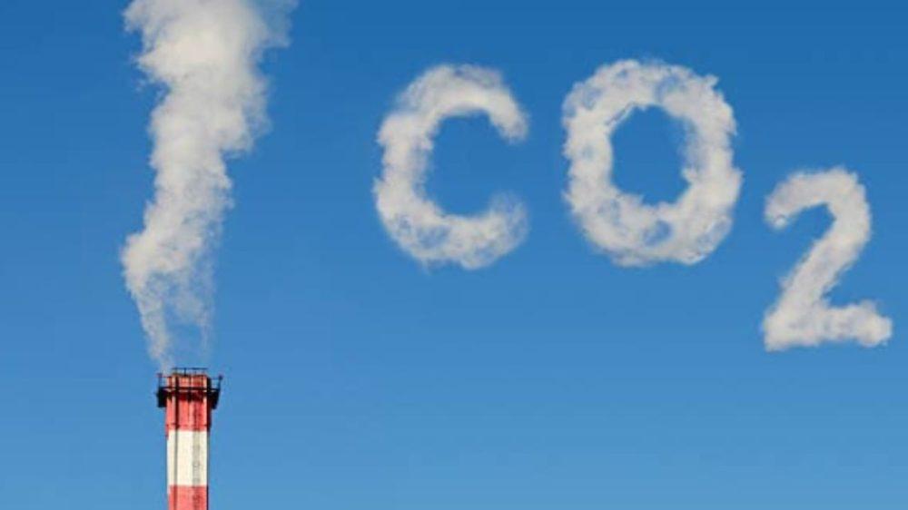 McDonald’s Argentina suma un nuevo ingrediente sustentable para reducir ...