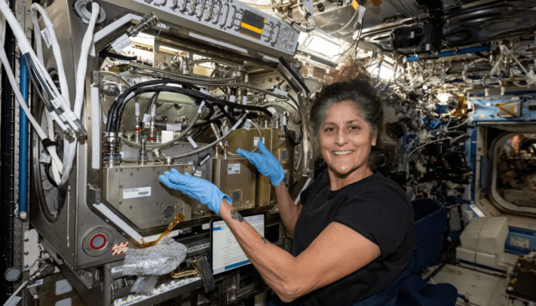 Estas son las 16 mejores fotos de ciencia en la estación espacial 2024 ...