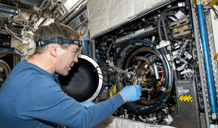 Estas son las 16 mejores fotos de ciencia en la estación espacial 2024 ...