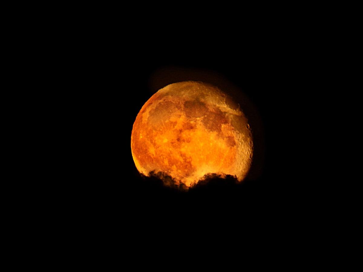 Eclipse lunar total de 2025: cuándo, dónde y cómo ver el fenómeno ...