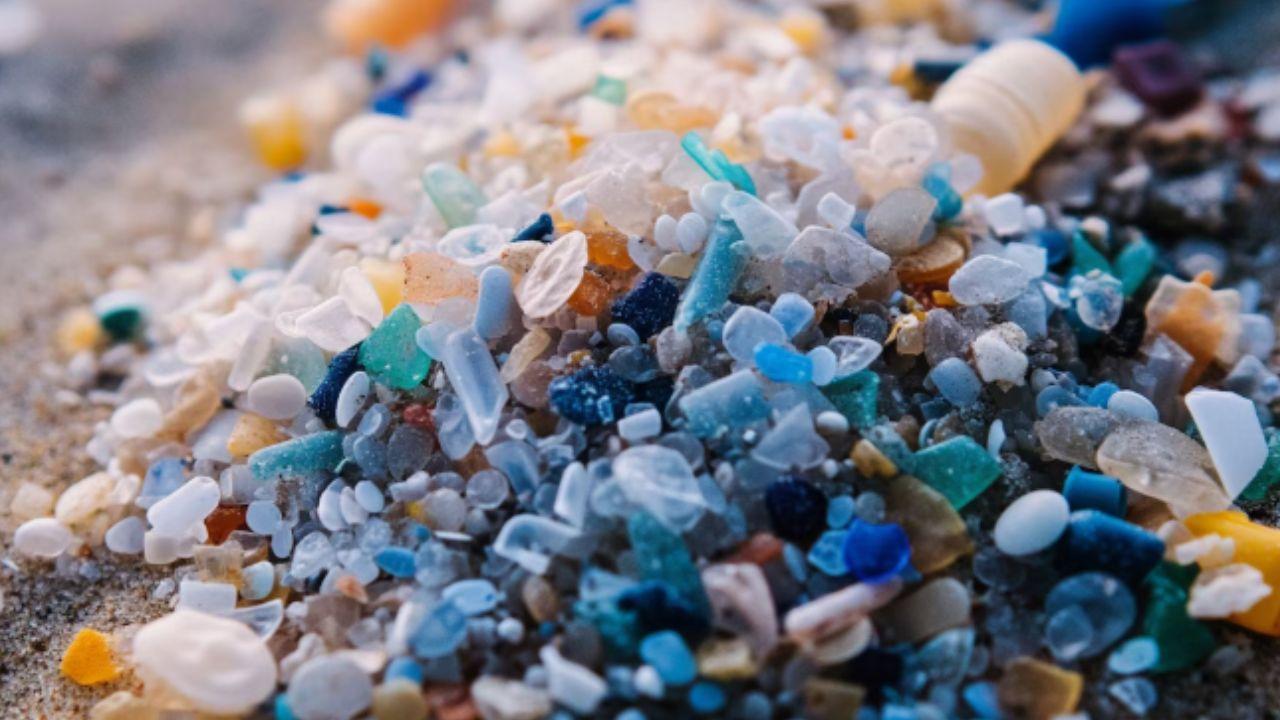 Estos son los alimentos con mayor presencia de microplásticos