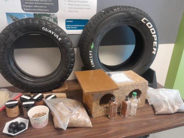 Guayule, la planta "milenaria" del desierto que desafía a la industria ...