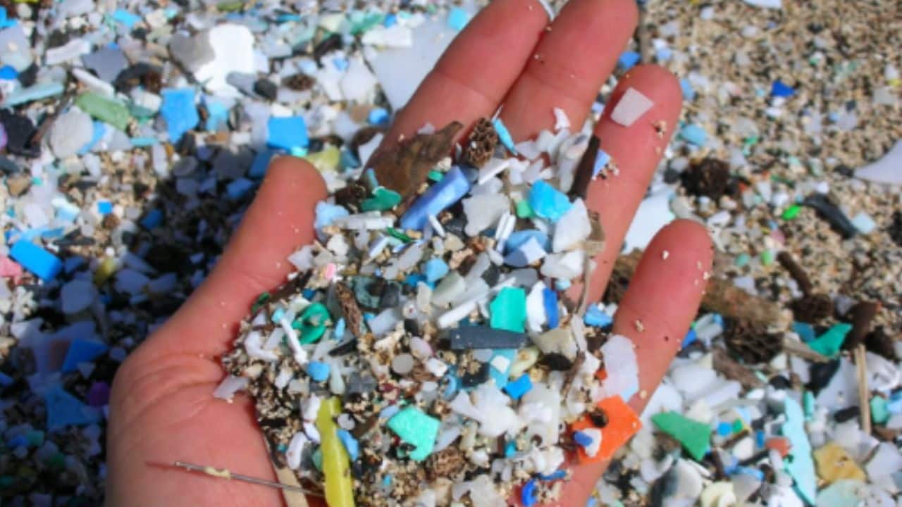 Cómo reducir el consumo de microplásticos en la cocina y en la diaria