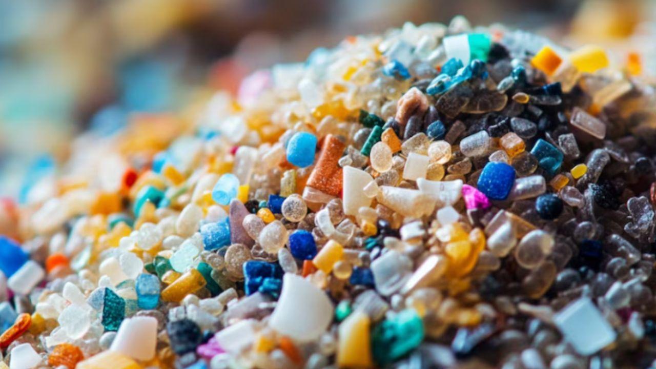 Marplatense premiada por su proyecto contra los microplásticos