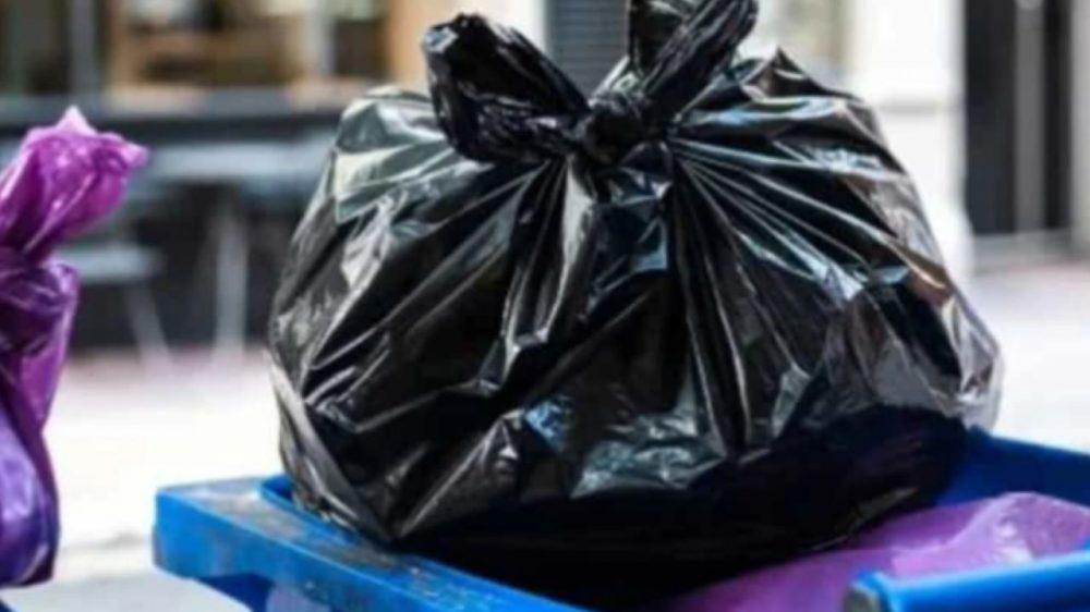 Así funciona la app de la Ciudad de Buenos Aires que retira cartón a ...