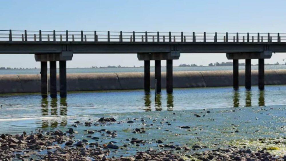 Quién es Gabriel Rabinovich, el argentino de la cura del cáncer
